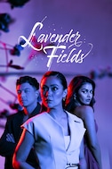 Stream Filipino TV Shows | iWant